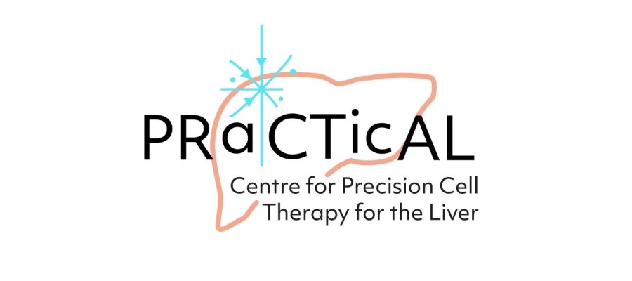 Centre for Precision Cell Therapy for the Liver (PRaCTicAL) | Institute ...